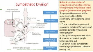 Autonomic nervous system | PPTX