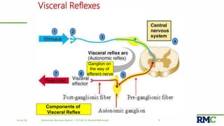 Autonomic nervous system | PPTX