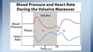 Autonomic nervous system testing | PPTX