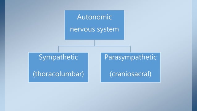 Autonomic nervous system testing | PPTX