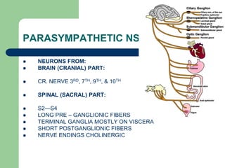 AUTONOMIC NERVOUS SYTEM.ppt