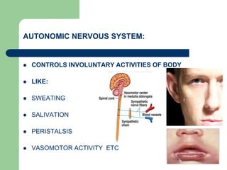 AUTONOMIC NERVOUS SYTEM.ppt