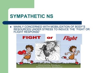 AUTONOMIC NERVOUS SYTEM.ppt