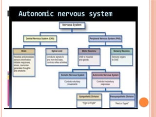 AUTONOMIC NEUROPATHY POWERPOINT PRESENTATION.PPTX