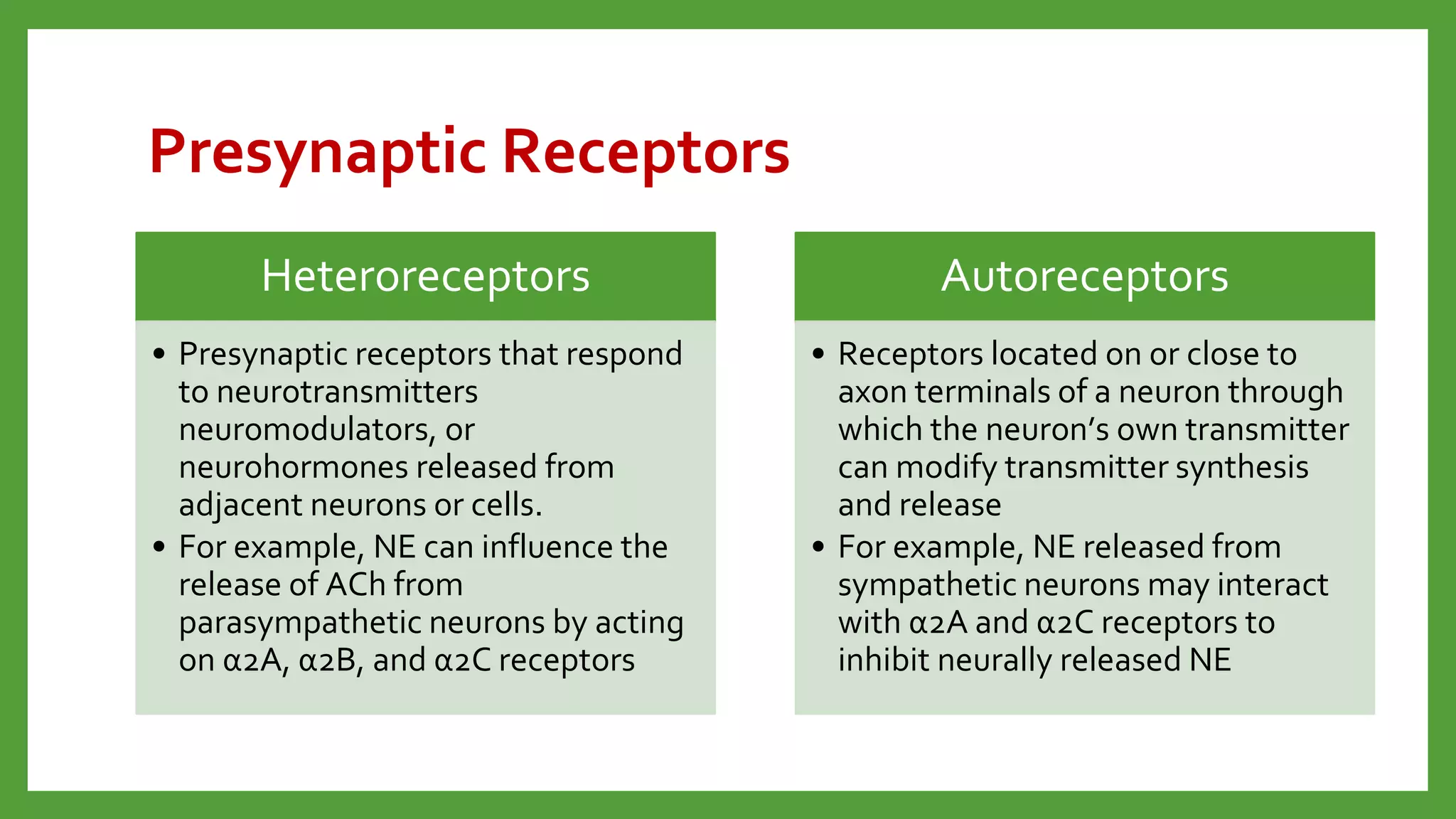 Autonomic Neurotransmission - Akhil.pptx | Brain and Nervous System ...