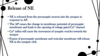 Autonomic neurotransmission and drugs affecting it II ANS Pharmacology ...
