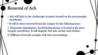 Autonomic neurotransmission and drugs affecting it II ANS Pharmacology ...