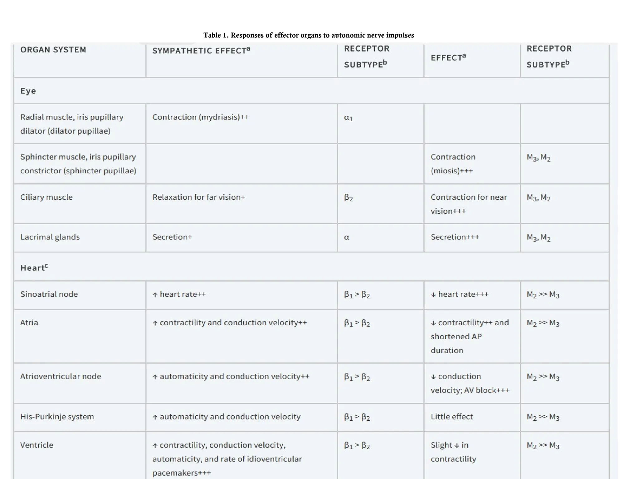 Autonomic pharmacology-Nervous System module.pptx
