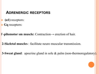 Autonomic receptors | PPTX