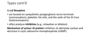 Autonomic receptors and drugs | PPT