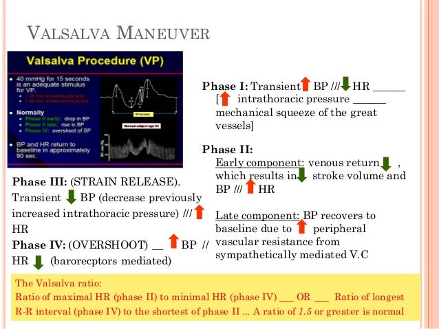 Autonomic Nervous System