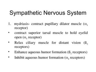 autonomic innervation of the eye Autonomics_Eye.ppt