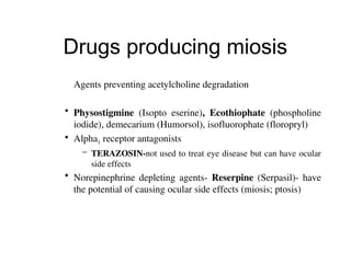 ophthalmology -Autonomics_Eye - innervation.ppt