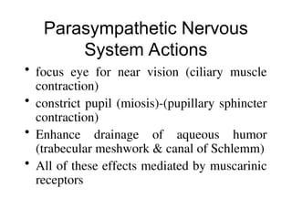 ophthalmology -Autonomics_Eye - innervation.ppt