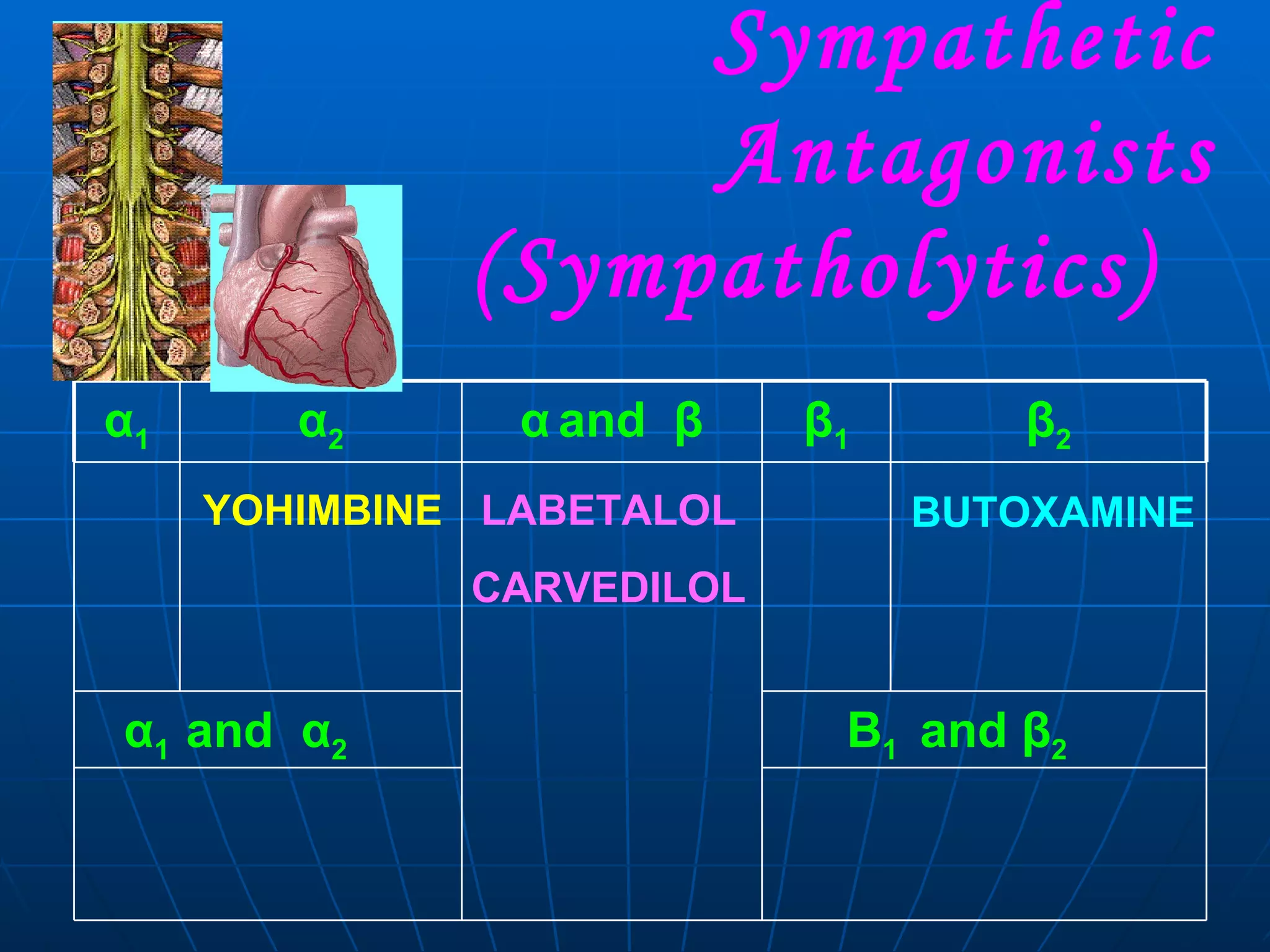 Autonomics & Sympathetics | PPT