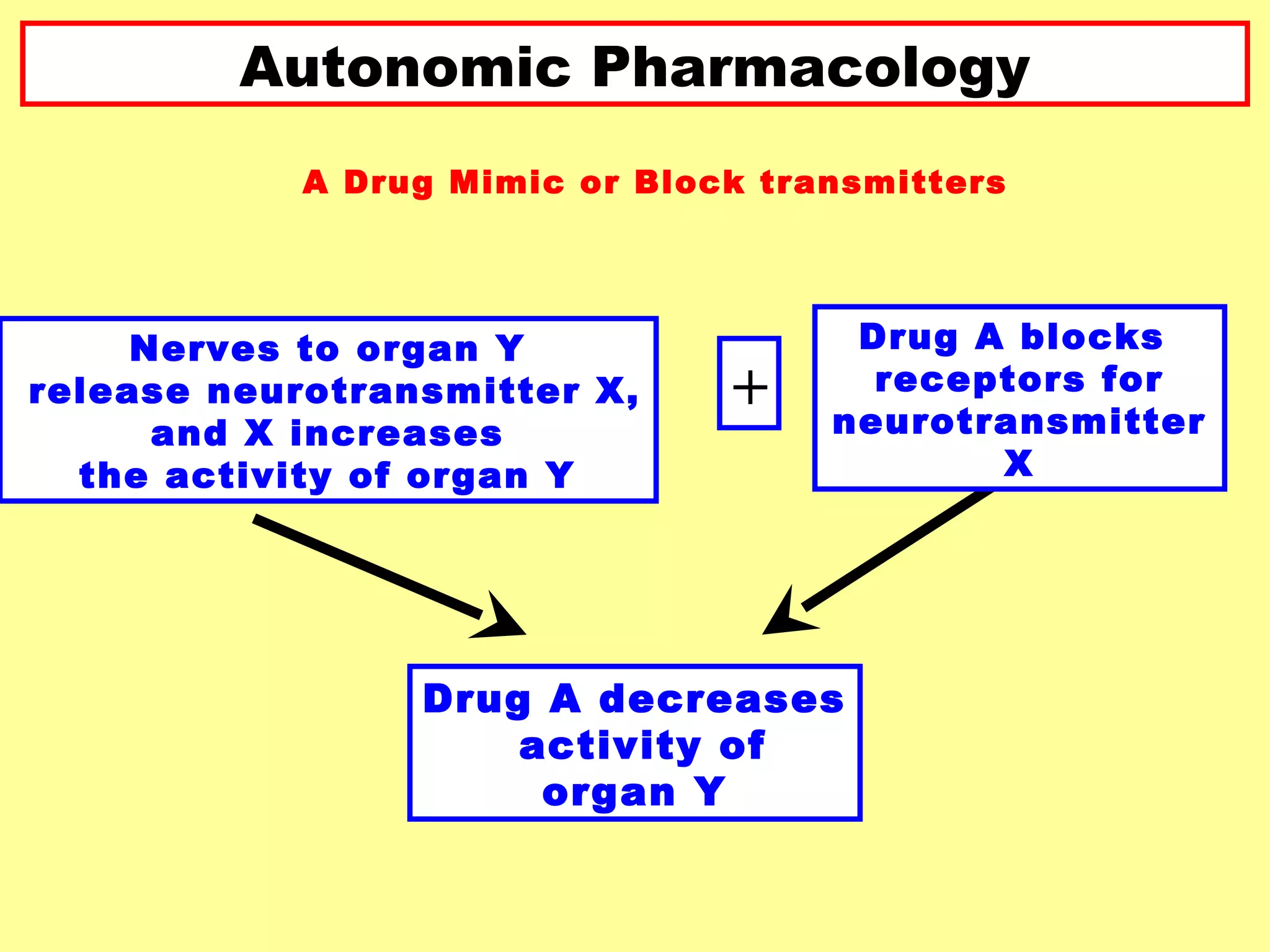 Autonomic system and Autonomic Pharmacology | PPT