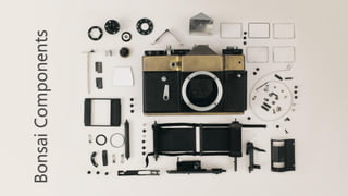 Autonomous Machines with Project Bonsai | PDF