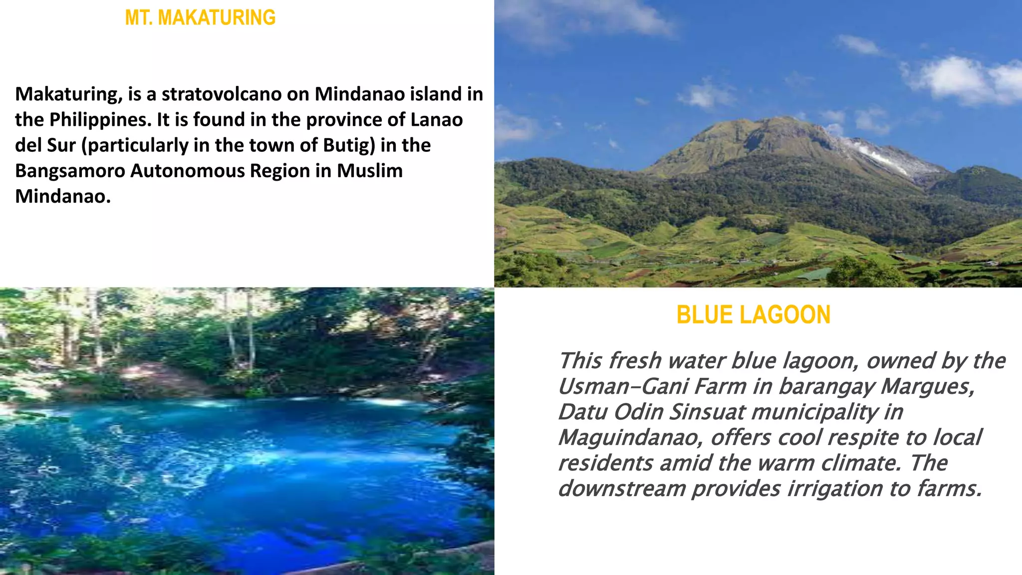 AUTONOMOUS REGION IN MUSLIM MINDANAO(ARMM).pptx