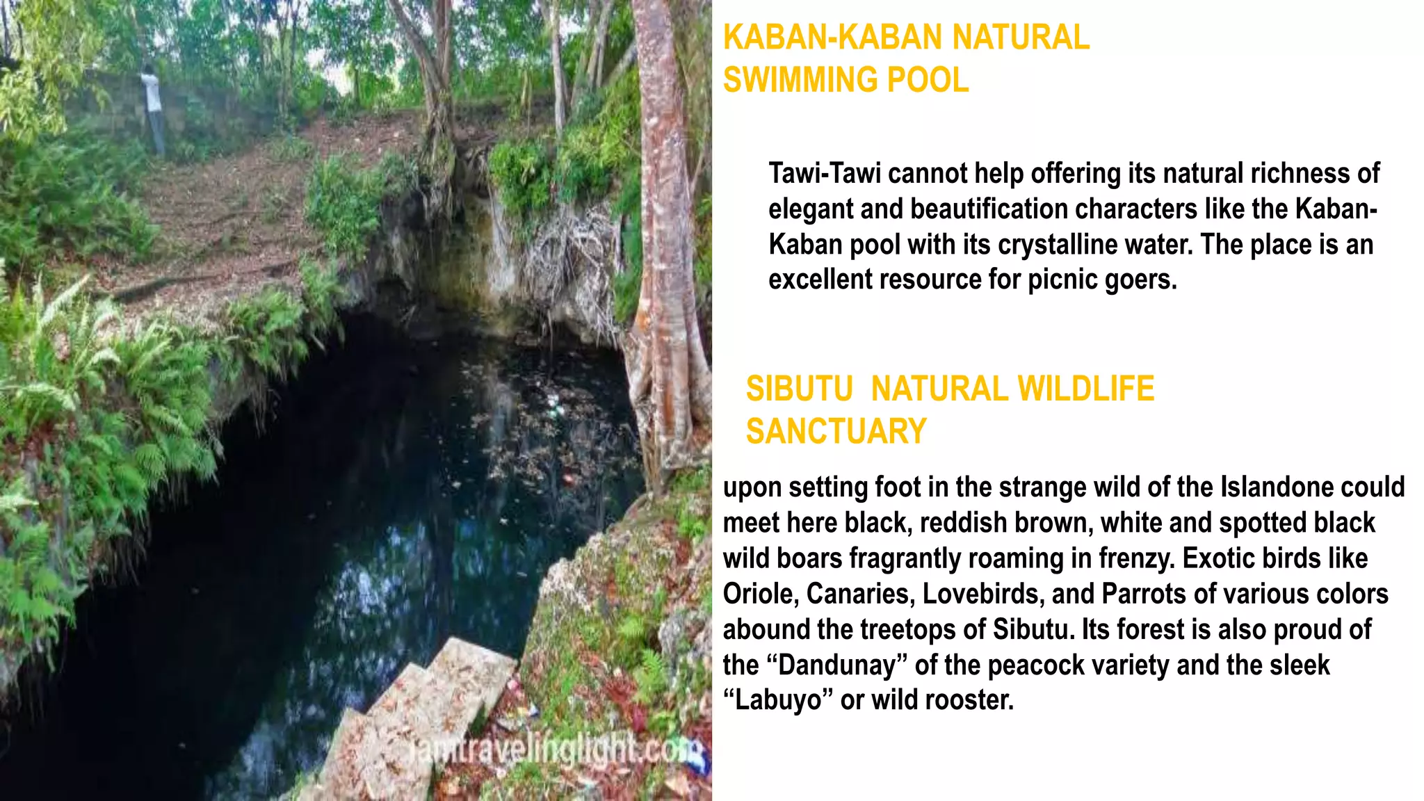 AUTONOMOUS REGION IN MUSLIM MINDANAO(ARMM).pptx