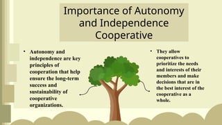BSFM SUB AUTONOMY%20AND%20INDEPENDENCE.pptx
