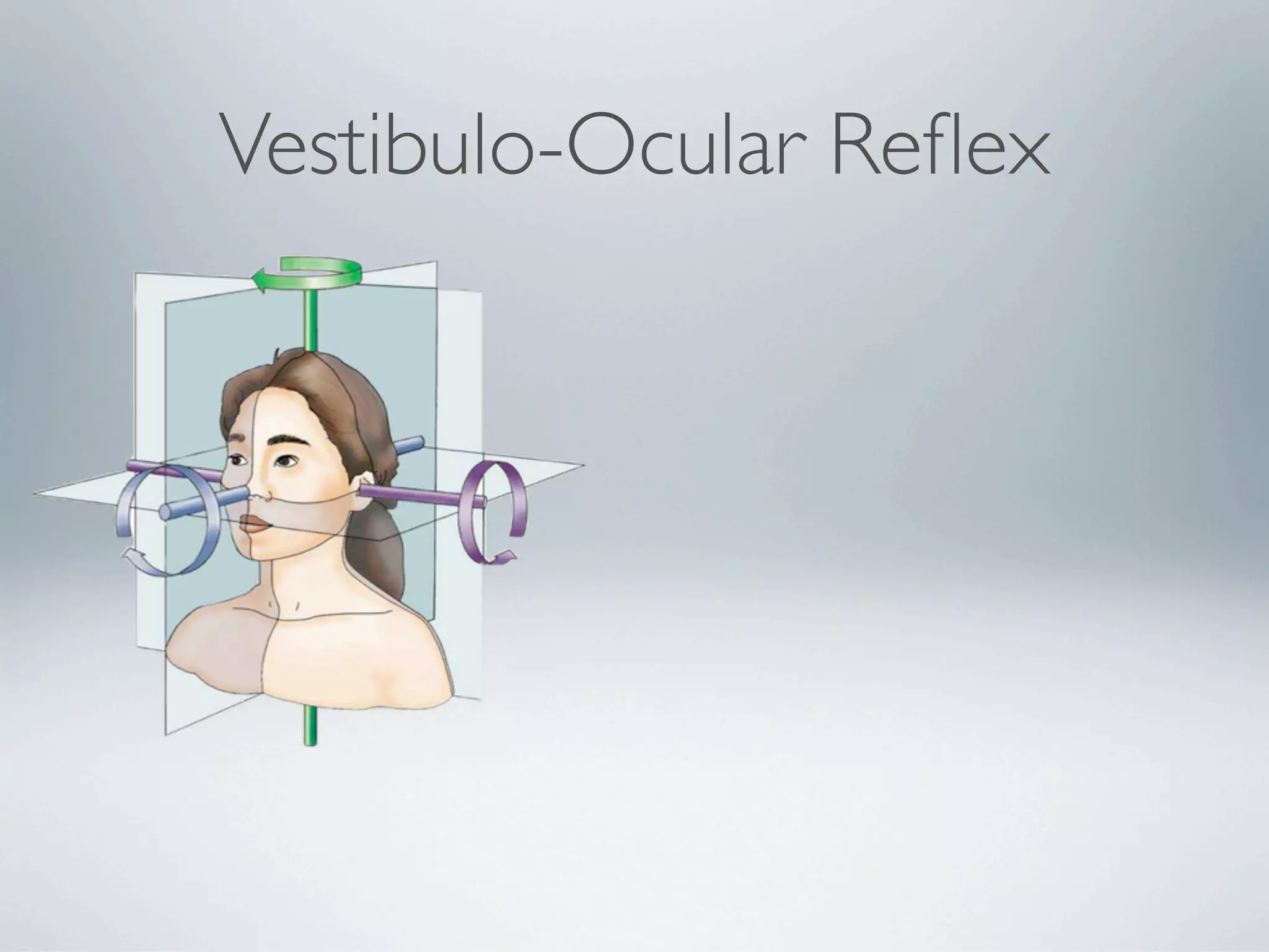 Vestibulo Ocular Reflex Animation