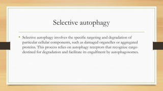 Autophagy- cellular degradation components.pptx
