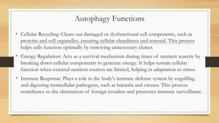 Autophagy- cellular degradation components.pptx