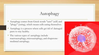 Autophagy- cellular degradation components.pptx