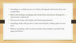 Autophagy- cellular degradation components.pptx