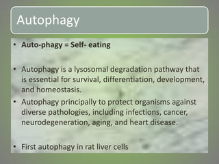 Autophagy | PPTX | Genetics | Science