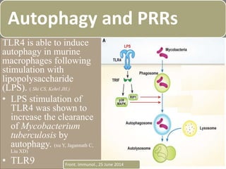 Autophagy | PPTX