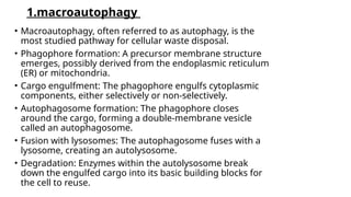 Autophagy [1].pptx