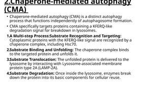 Autophagy [1].pptx