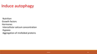 Autophagy by pavan | PPTX
