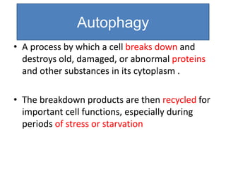 autophagy .pptx | Biological Sciences | Science