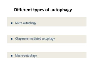autophagy .pptx | Biological Sciences | Science