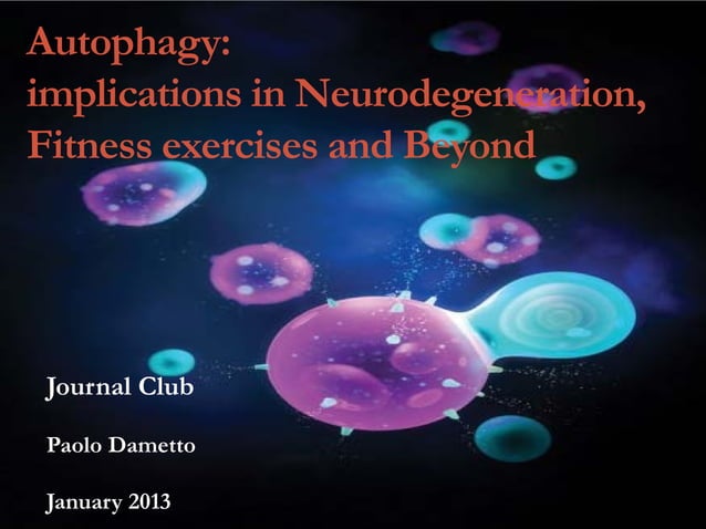 Autophagy: implications in neurodegeneration, fitness exercise and ...