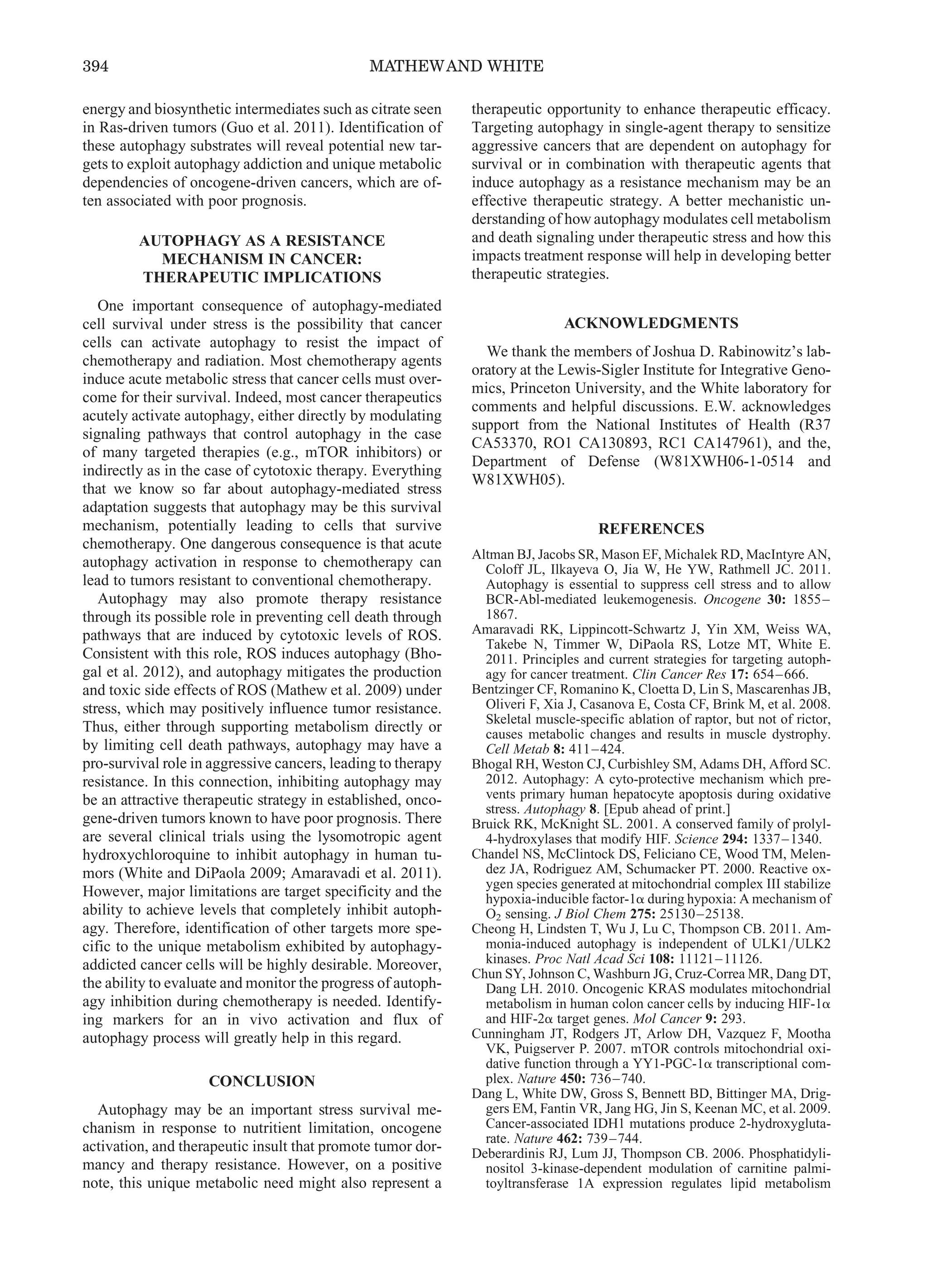 Autophagy, stress, and cancer metabolism | PDF