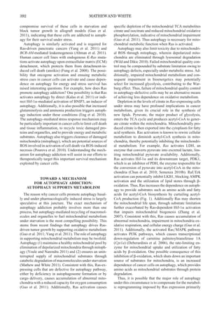 Autophagy, stress, and cancer metabolism | PDF