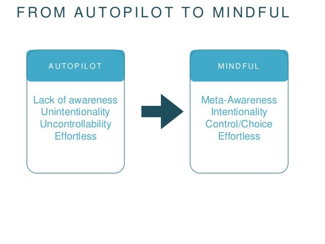 Mindfulness: An Antidote To Autopilot At Work