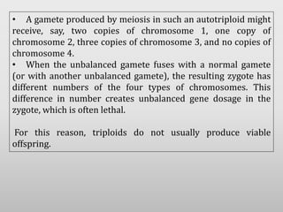 Autopolyploidy | PPTX
