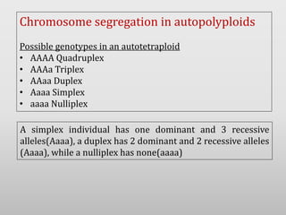 Autopolyploidy | PPTX