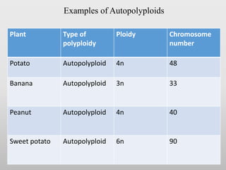 Autopolyploidy An Overview ScienceDirect Topics, 55% OFF