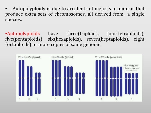 Autopolyploidy