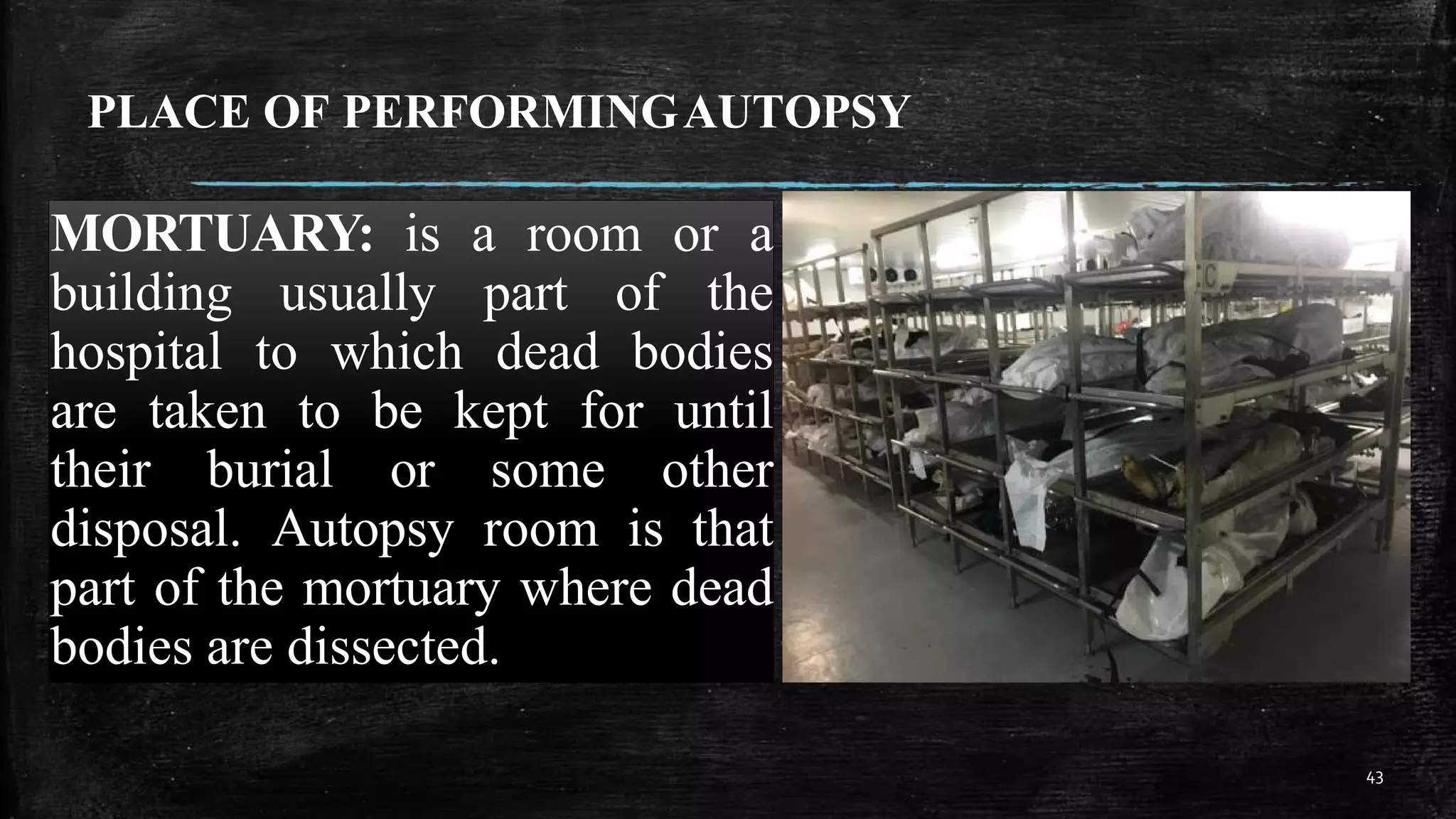 Autopsy | PDF