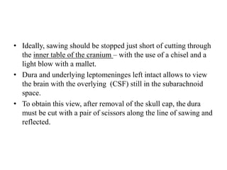 Autopsy-of-brain.pptx
