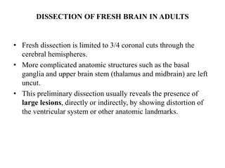 Autopsy-of-brain.pptx