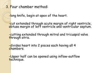 Autopsy dissection of heart and spinal cord | PPTX