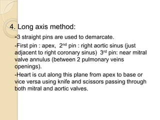 Autopsy dissection of heart and spinal cord | PPTX