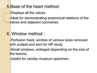 Autopsy dissection of heart and spinal cord | PPTX